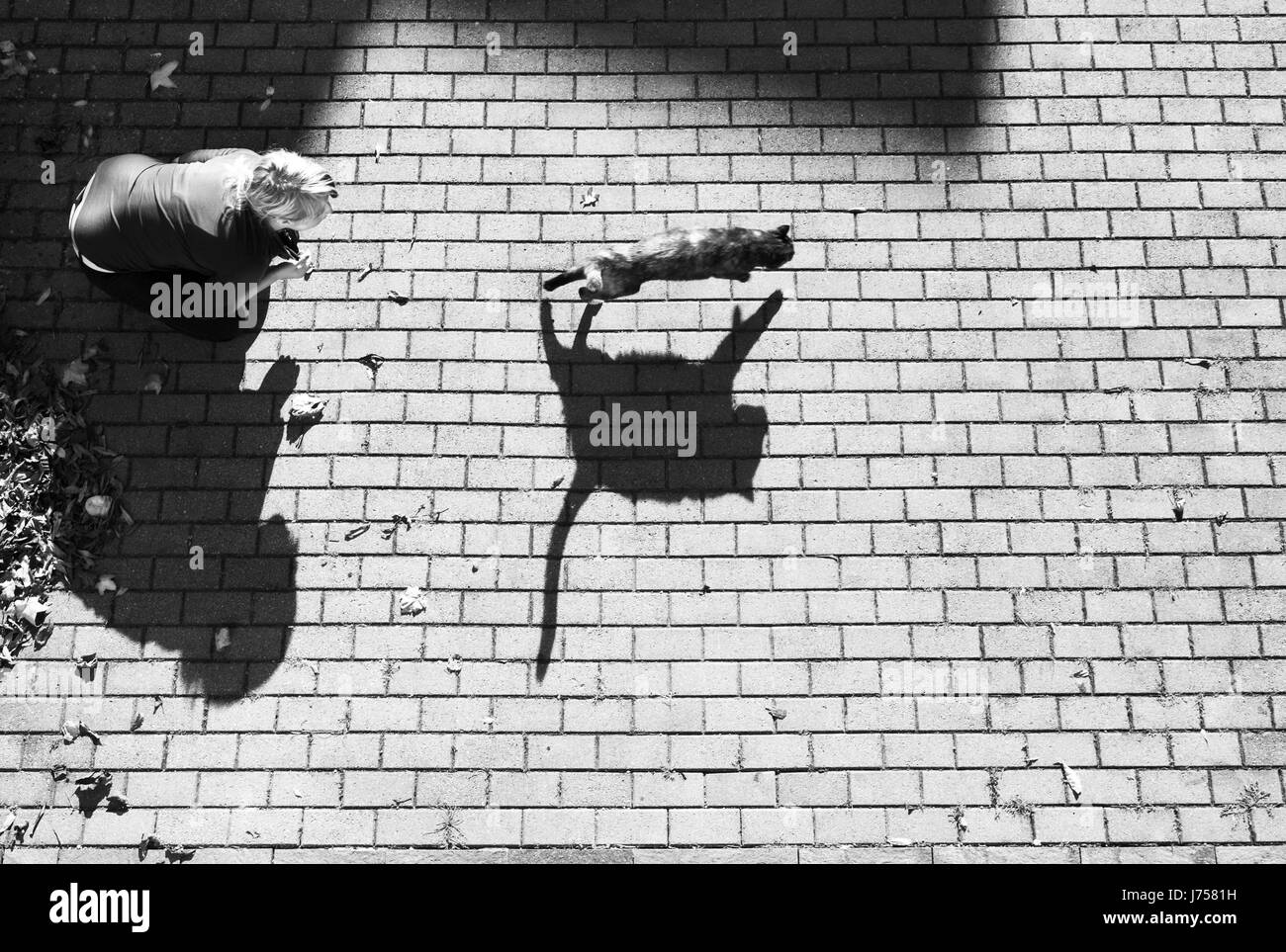 always on the go Stock Photo - Alamy