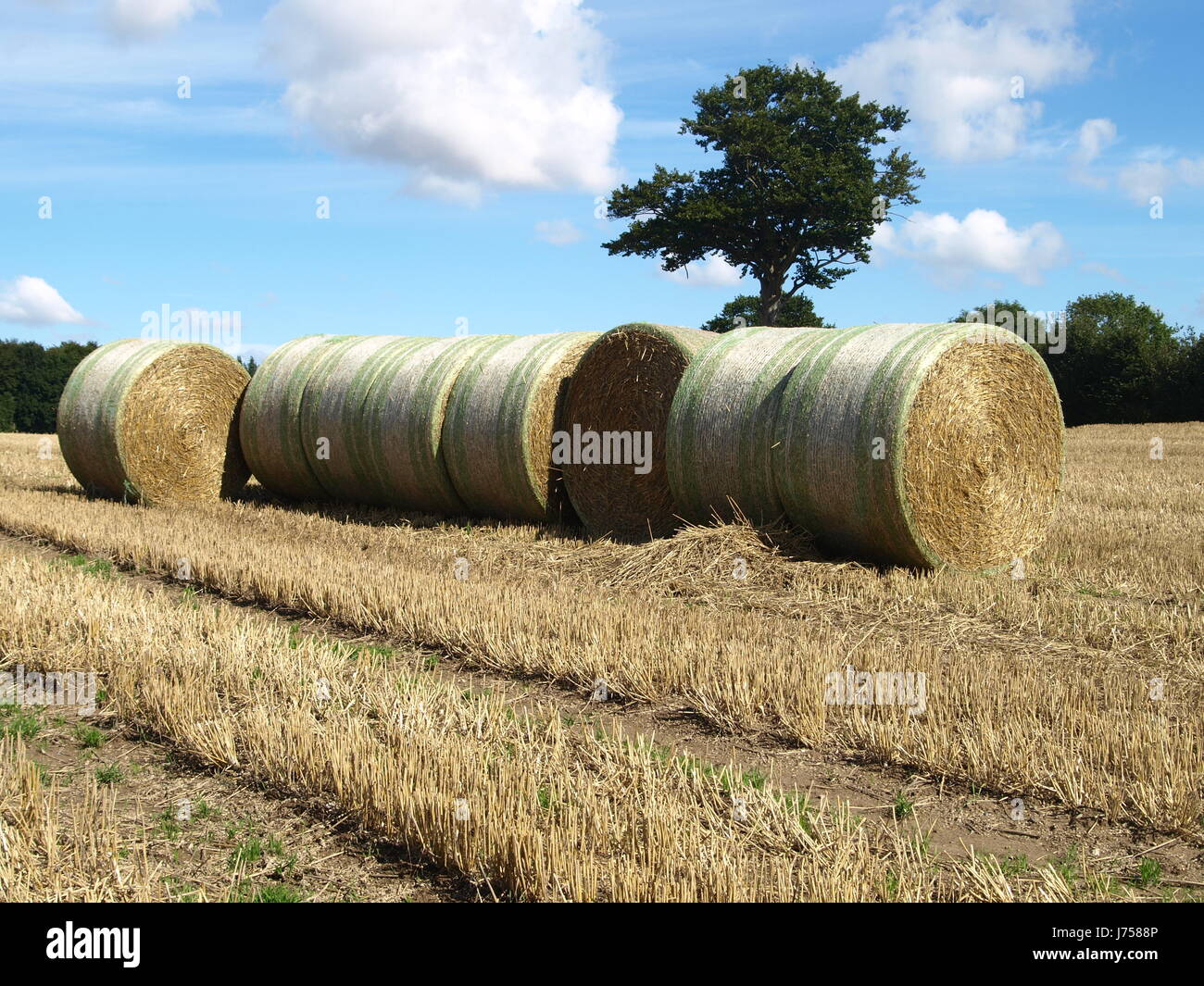 out of line Stock Photo - Alamy