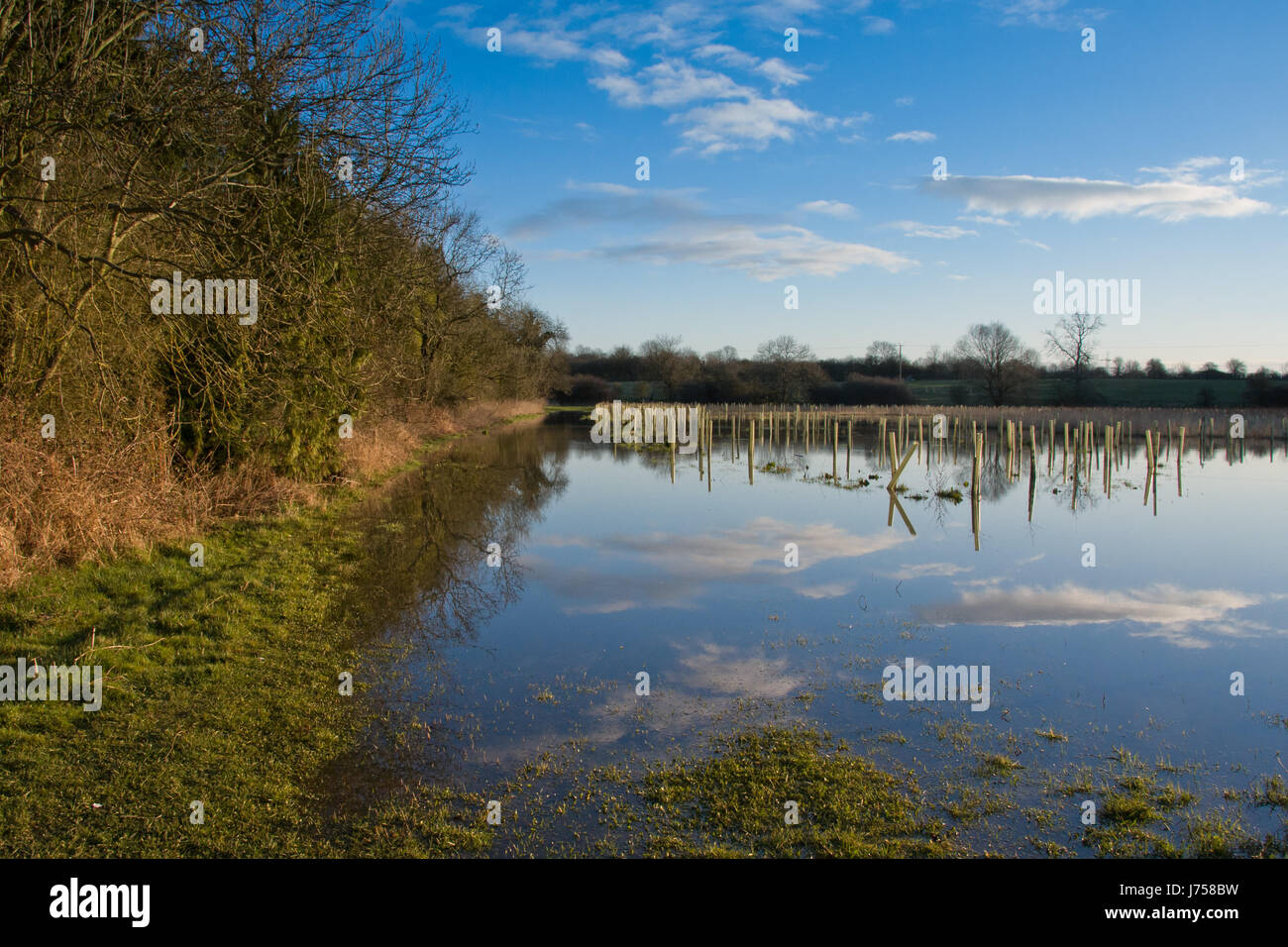 blue reflection fields flood firmament sky blue environment enviroment ...