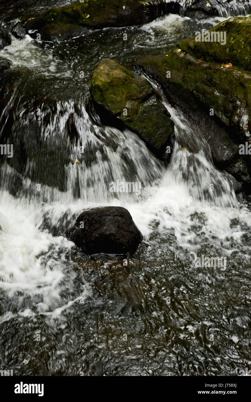 stream rock waterfall ravine waterfalls current of the river forest ...