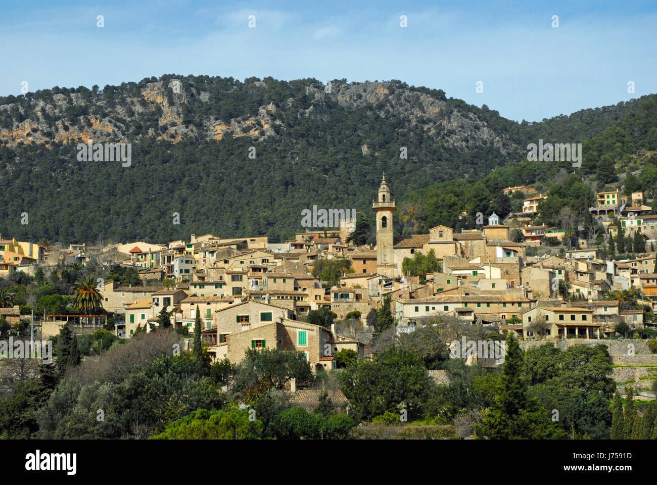 tree mallorca monastery city view convent mountain scenery countryside ...