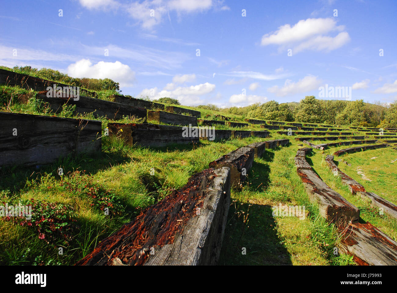 act performance canvas planks complete perfect art culture wood act ...