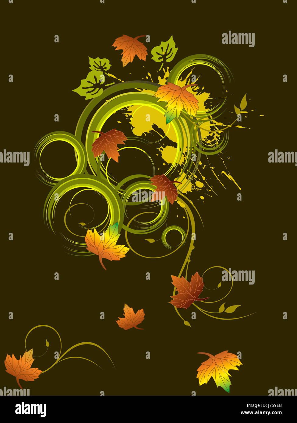 leaf flower plant flora flourishes backdrop background floral nature ...