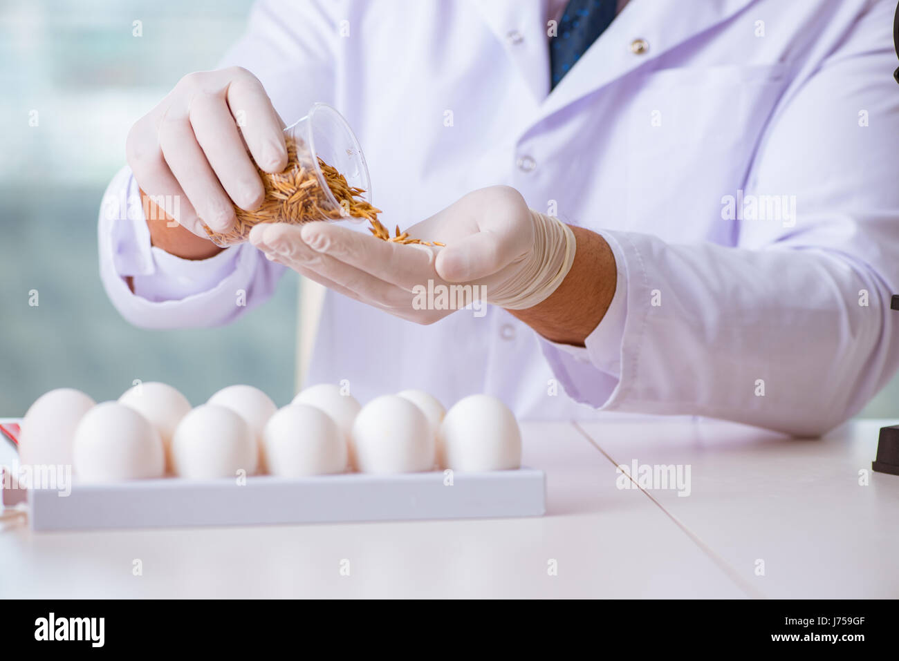 Nutrition expert testing food products in lab Stock Photo - Alamy