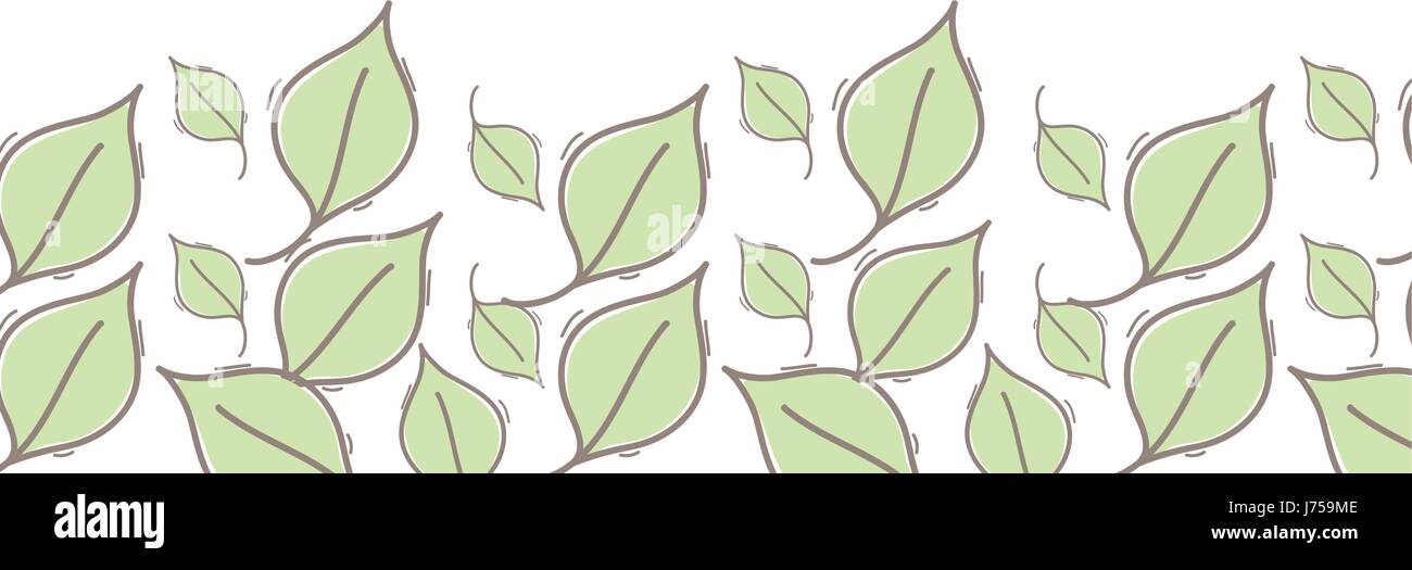 nice organic leaf plant background, vector illustration design Stock ...