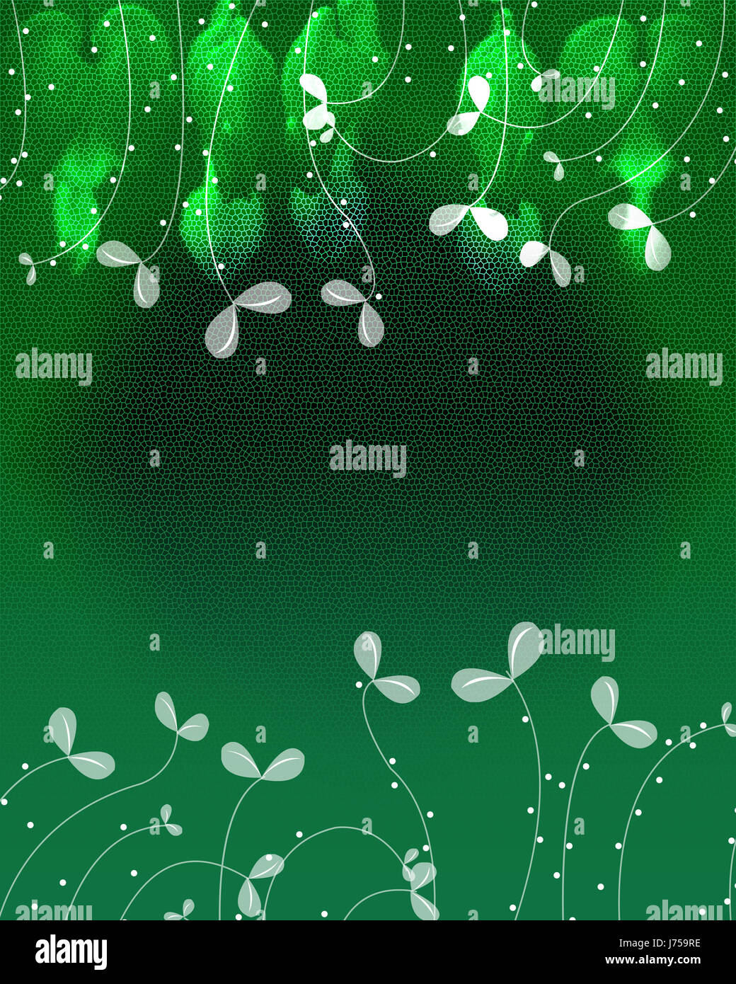 leaves spring backdrop background foliage leaf colour flower plant ...