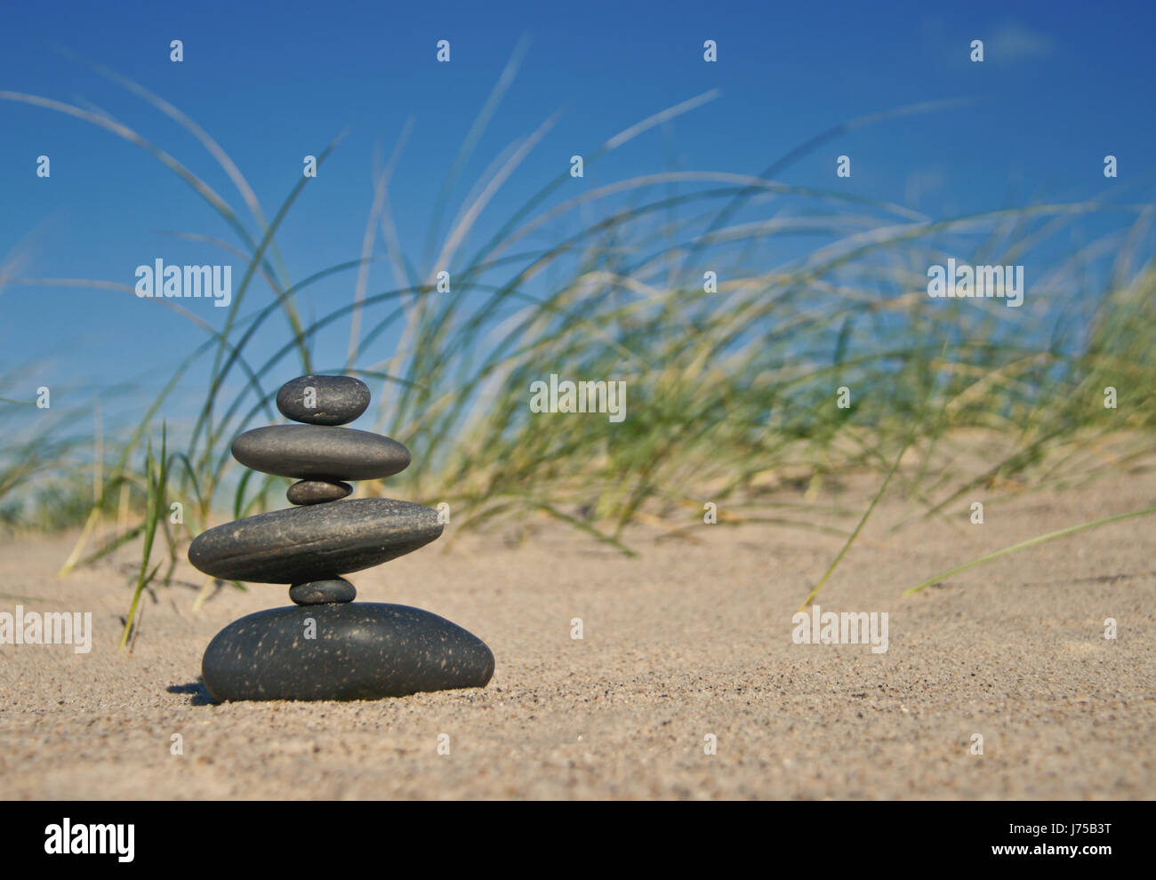 beach seaside the beach seashore dune zen shine shines bright lucent ...