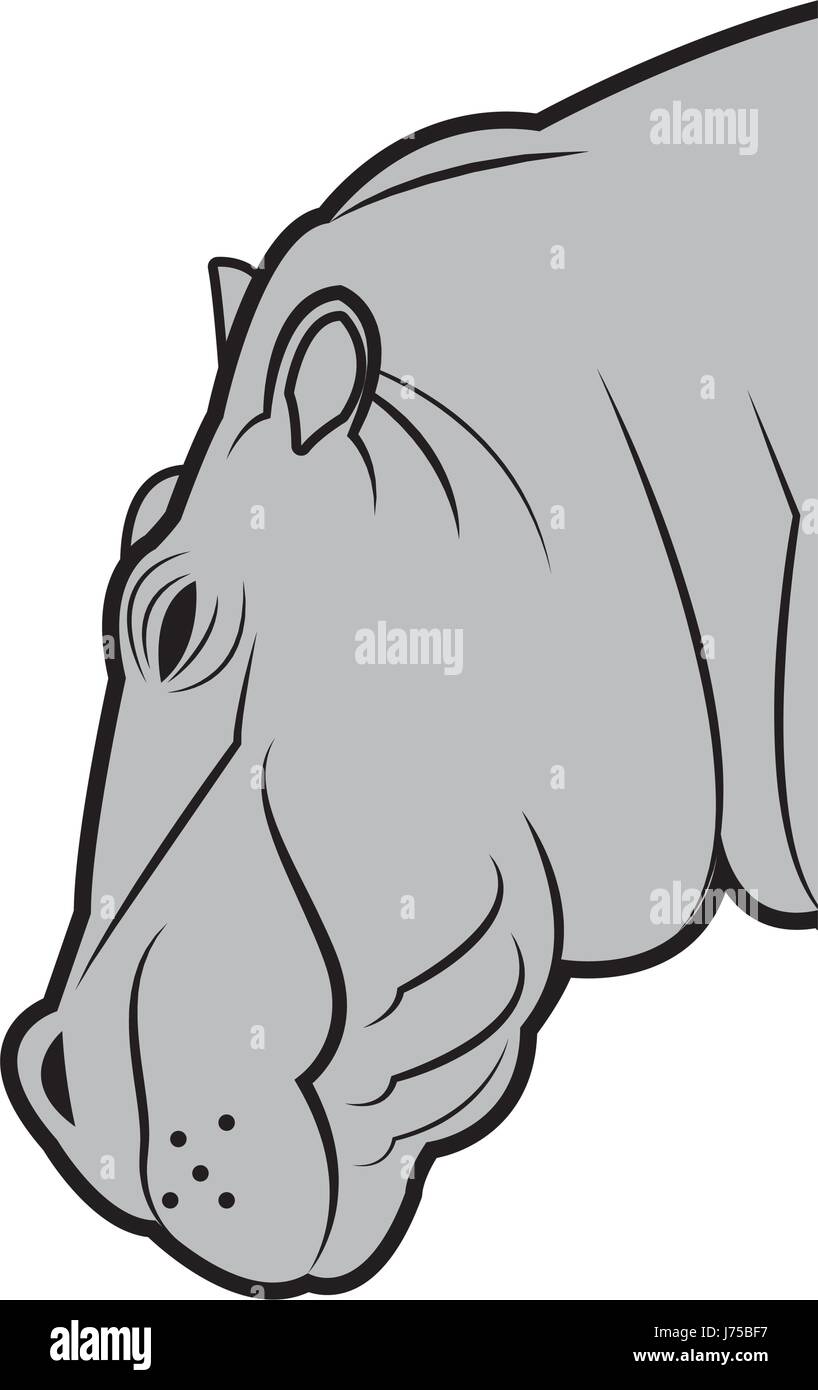 hippo head animal naturalist wildlife style Stock Vector Image & Art ...