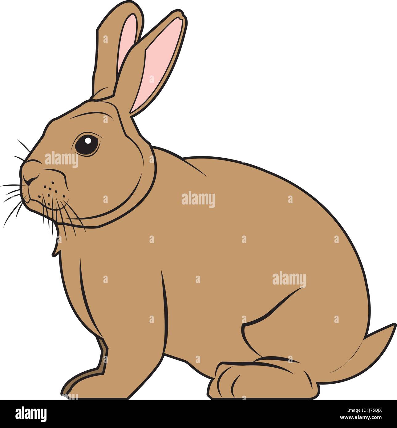 wild rabbit nature rodent farm image Stock Vector Image & Art - Alamy