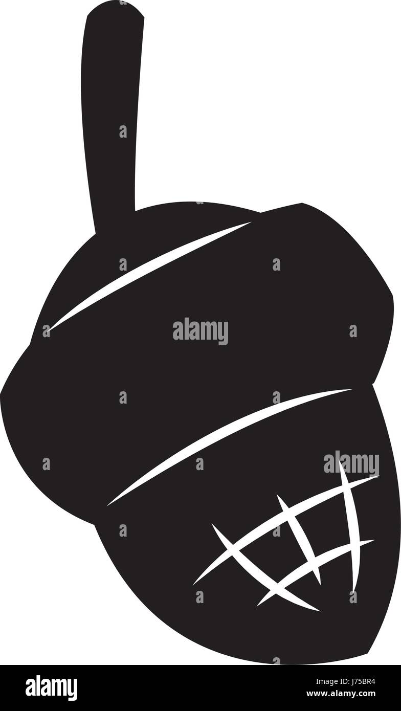 acorns oak nut, nature seed botanical Stock Vector Image & Art - Alamy