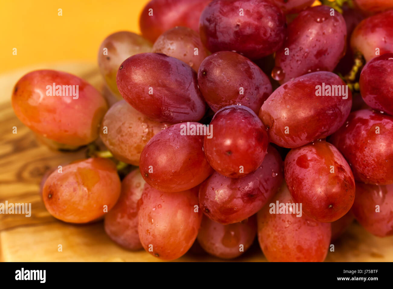 pome fruit berries viticulture grapes vine grape vine grape-vine grape ...