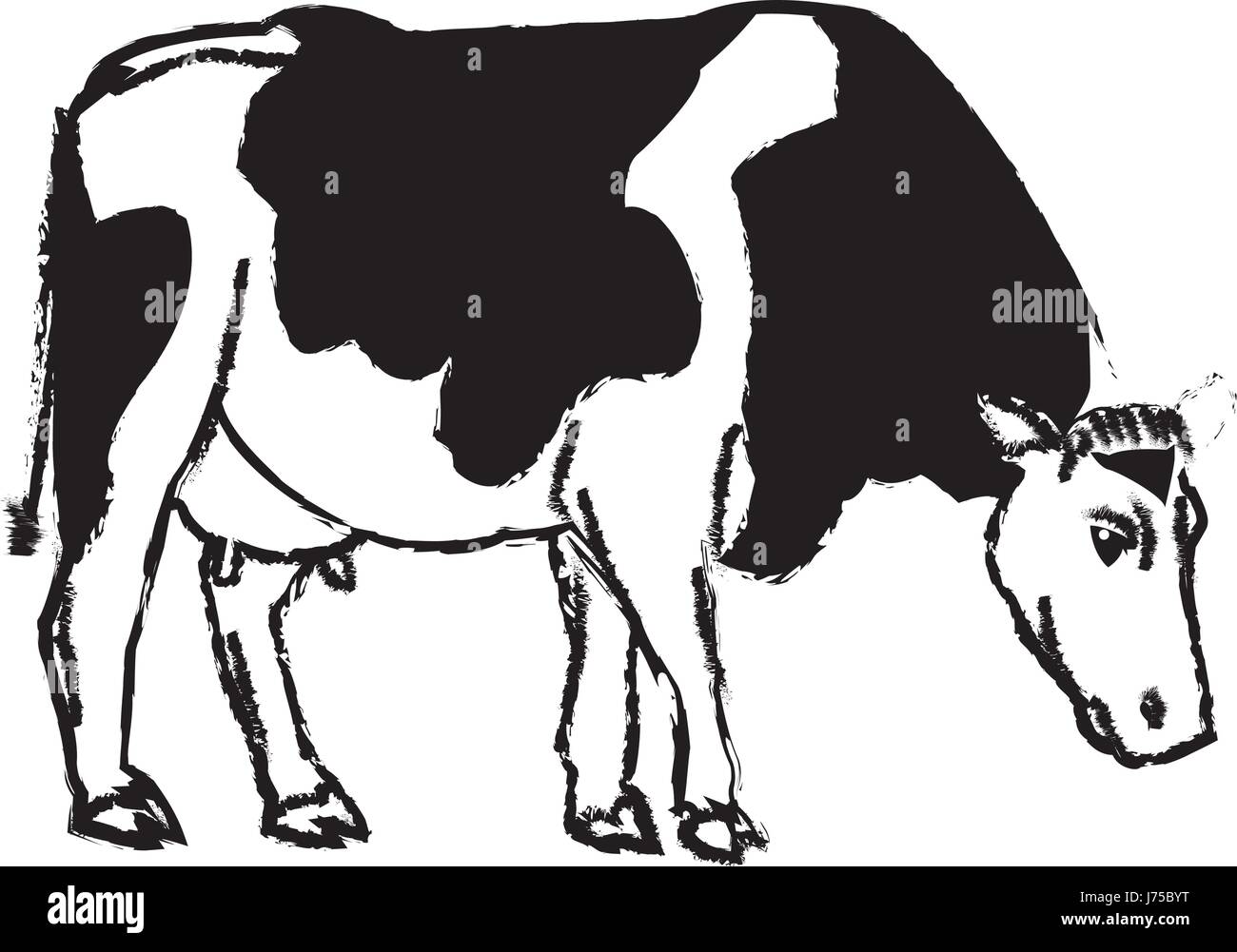 Holstein cow Stock Vector Images - Alamy