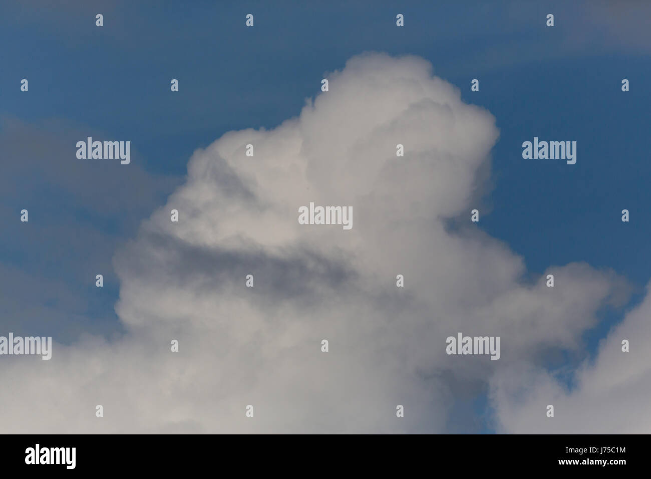 natural white cumulus cloud in blue sky in sunlight Stock Photo - Alamy