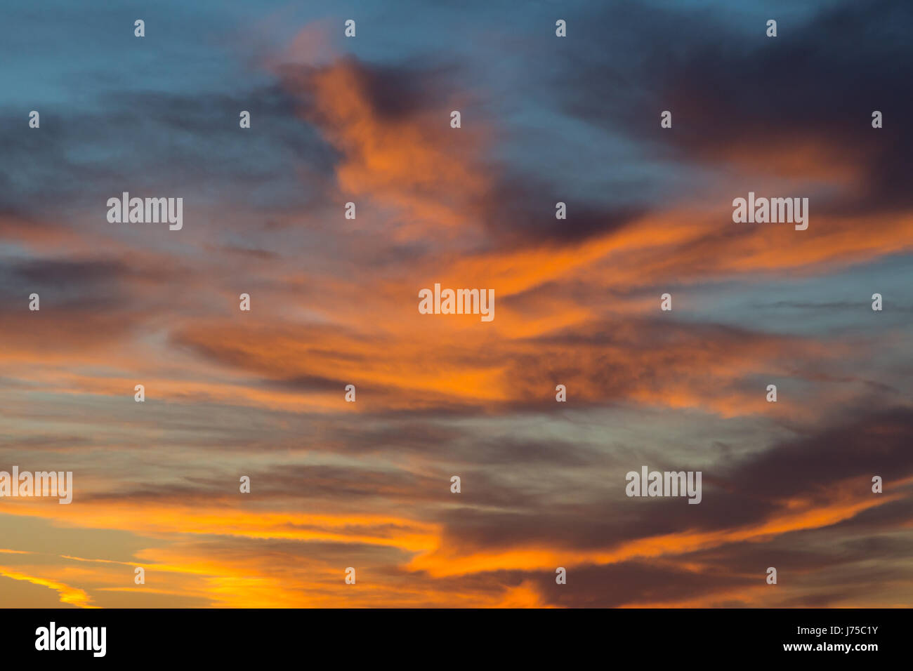 natural sunset in dramatic blue sky with clouds in orange color tones ...