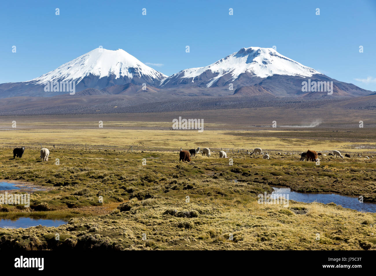 landscape of the Andes Mountains, with snow-covered volcano in the ...