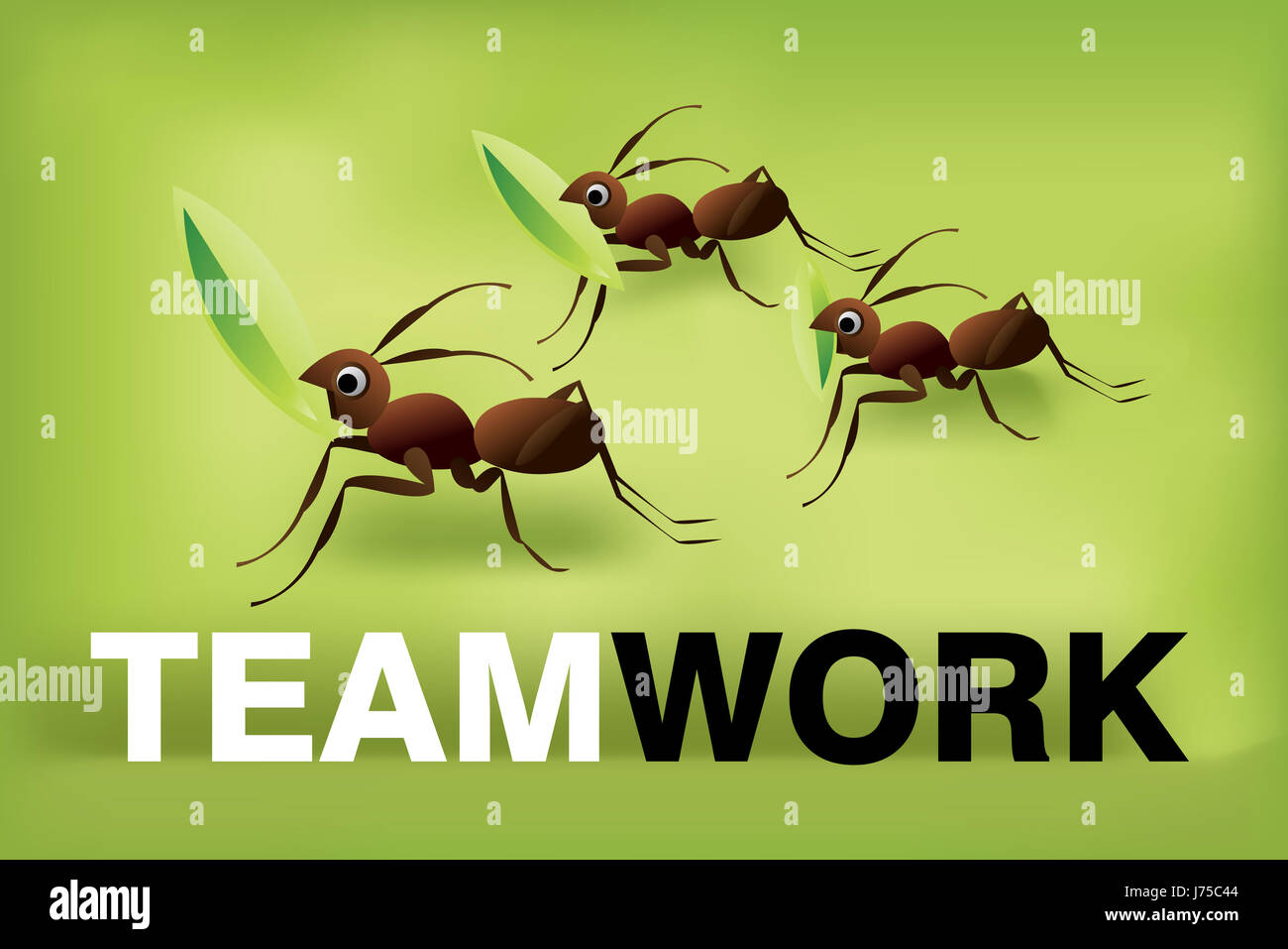 teamwork spirit passion love in love fell in love group zeal courage ...