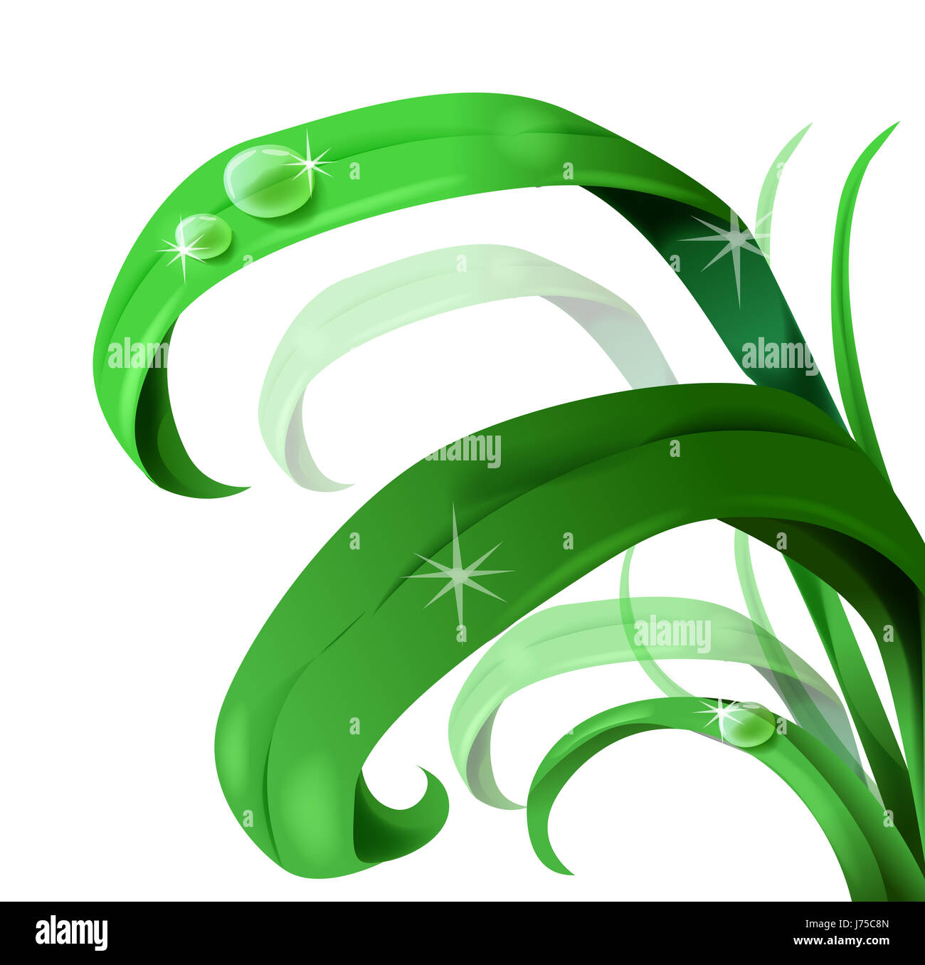 leaves spring drop water drop waterdrop water lawn green foliage nature ...