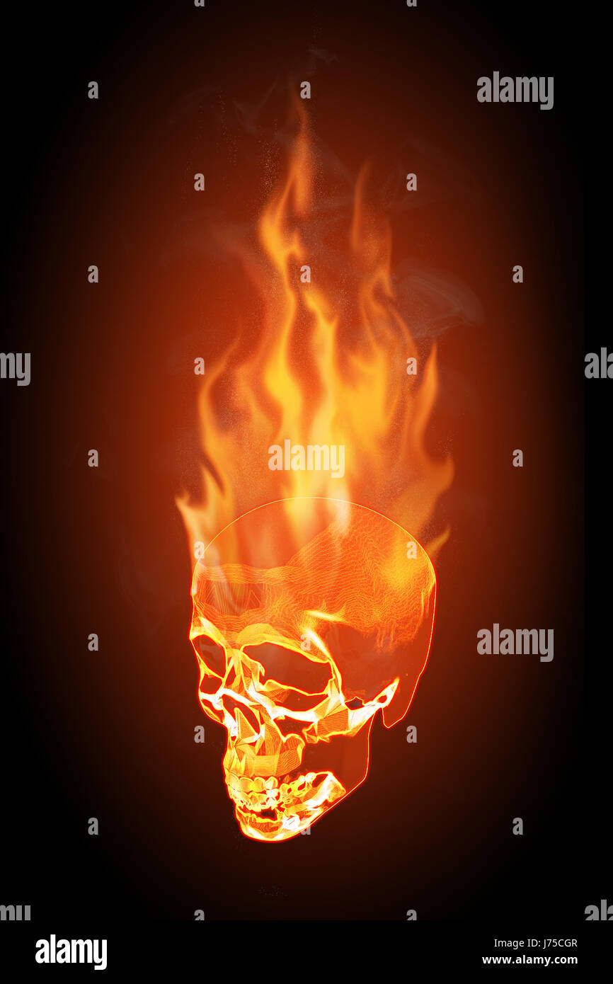 illustration skull fire conflagration flame flames horror burning head ...