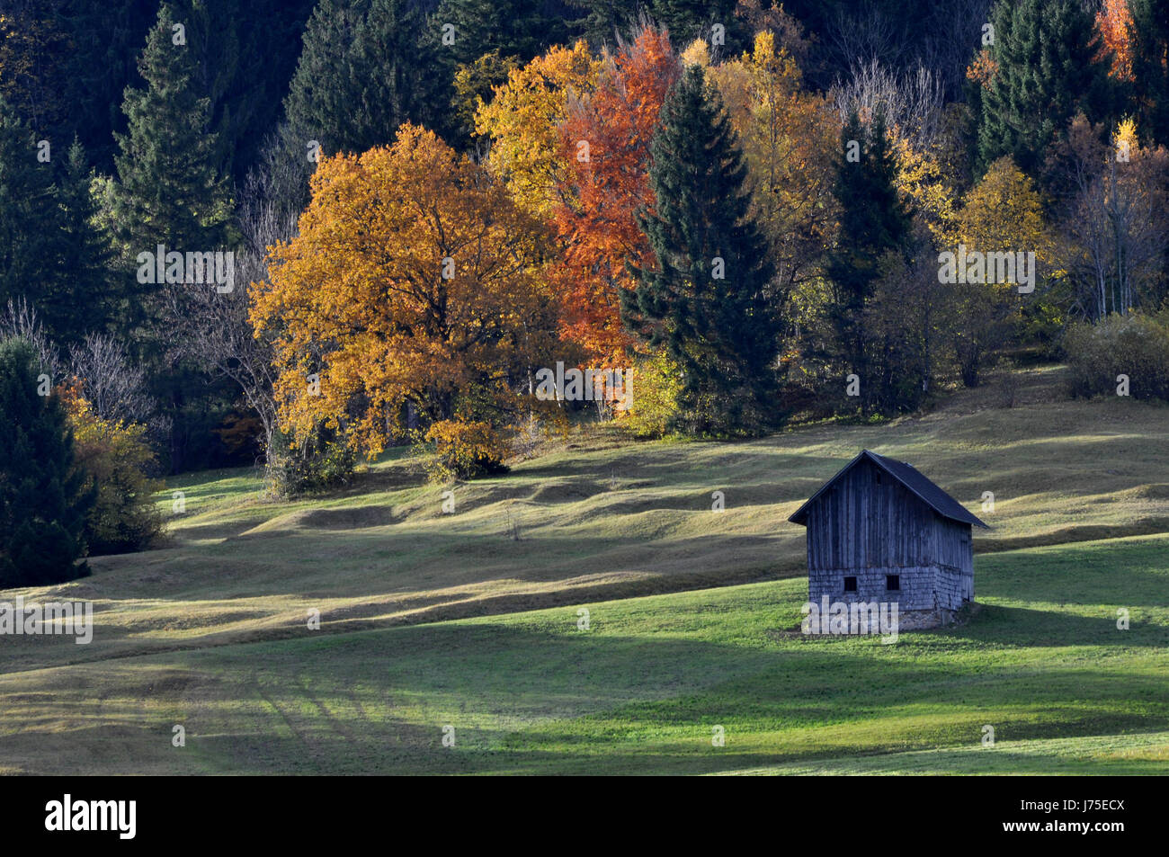colour meadow scenery countryside nature grass lawn green colors ...