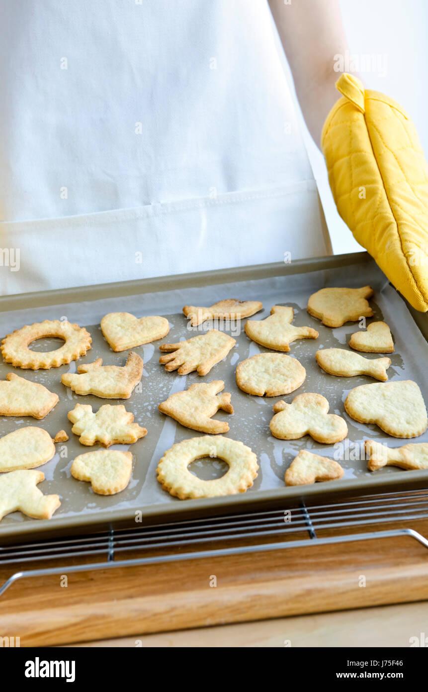 cookie biscuits cookies tray possession holding homemade baked woman ...