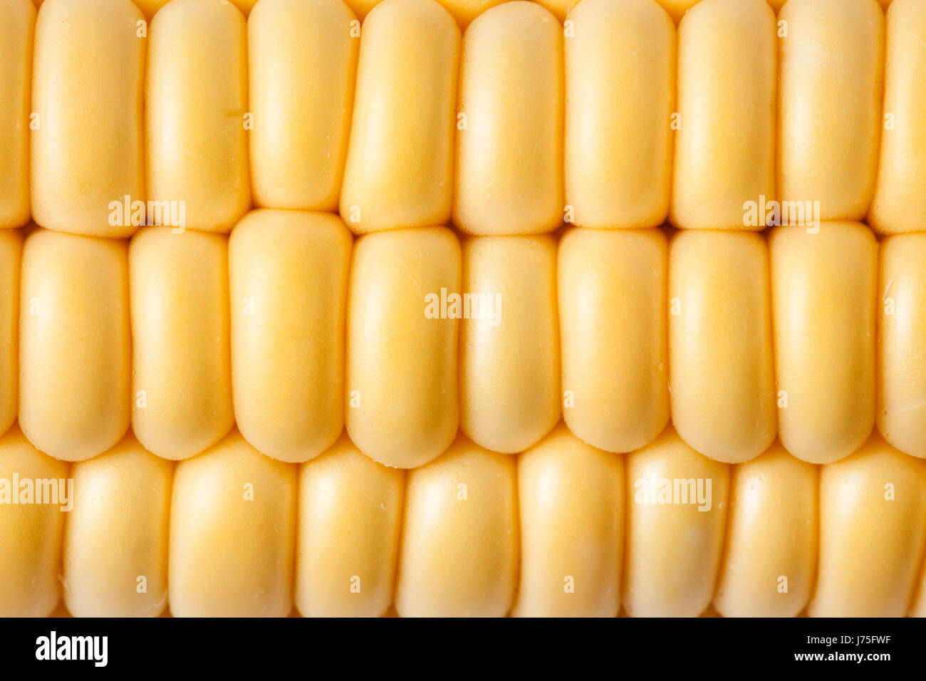 food aliment vegetable raw corn husk cob yellow healthy food aliment ...