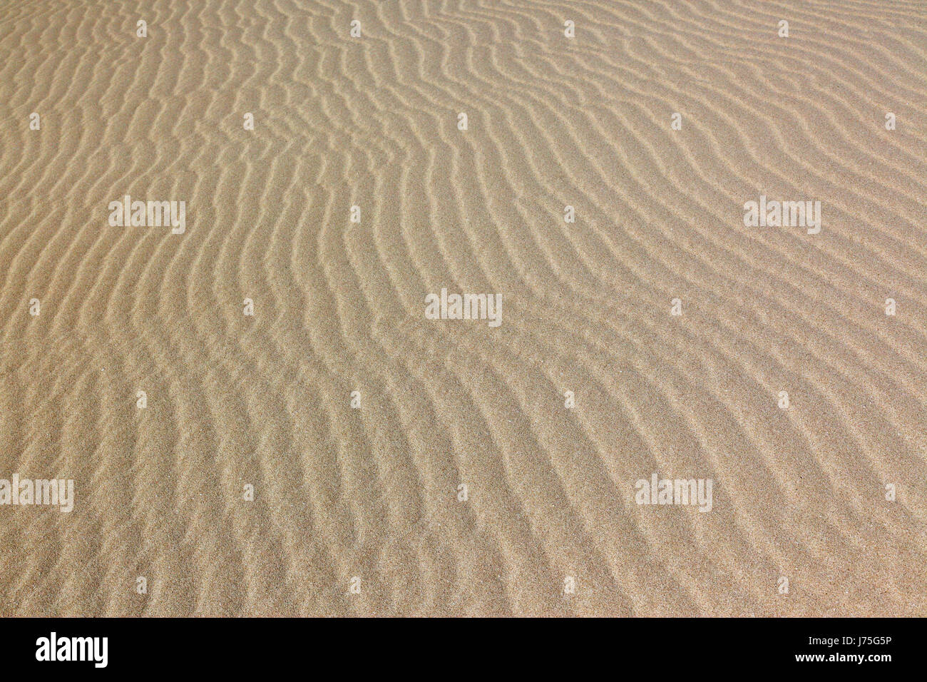 desert sand 3 Stock Photo - Alamy