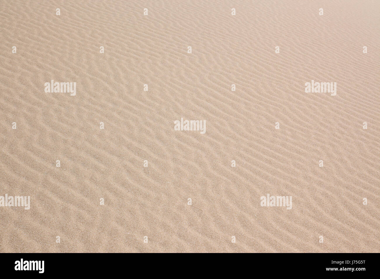 desert sand 4 Stock Photo - Alamy