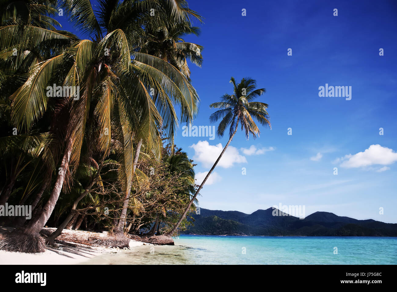 beautiful beauteously nice travel heaven paradise beach seaside the ...