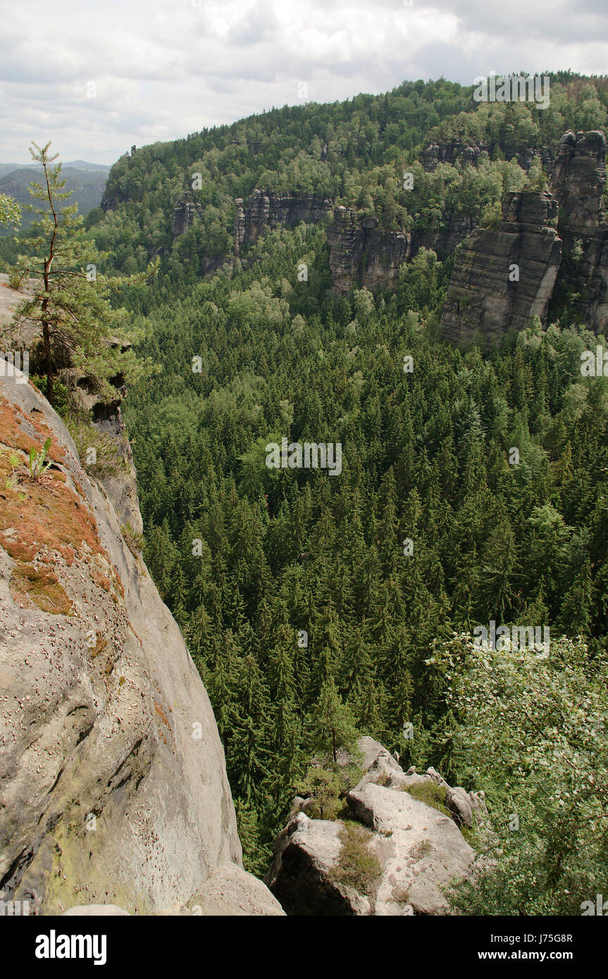 switzerland saxony germany german federal republic nature tree ...