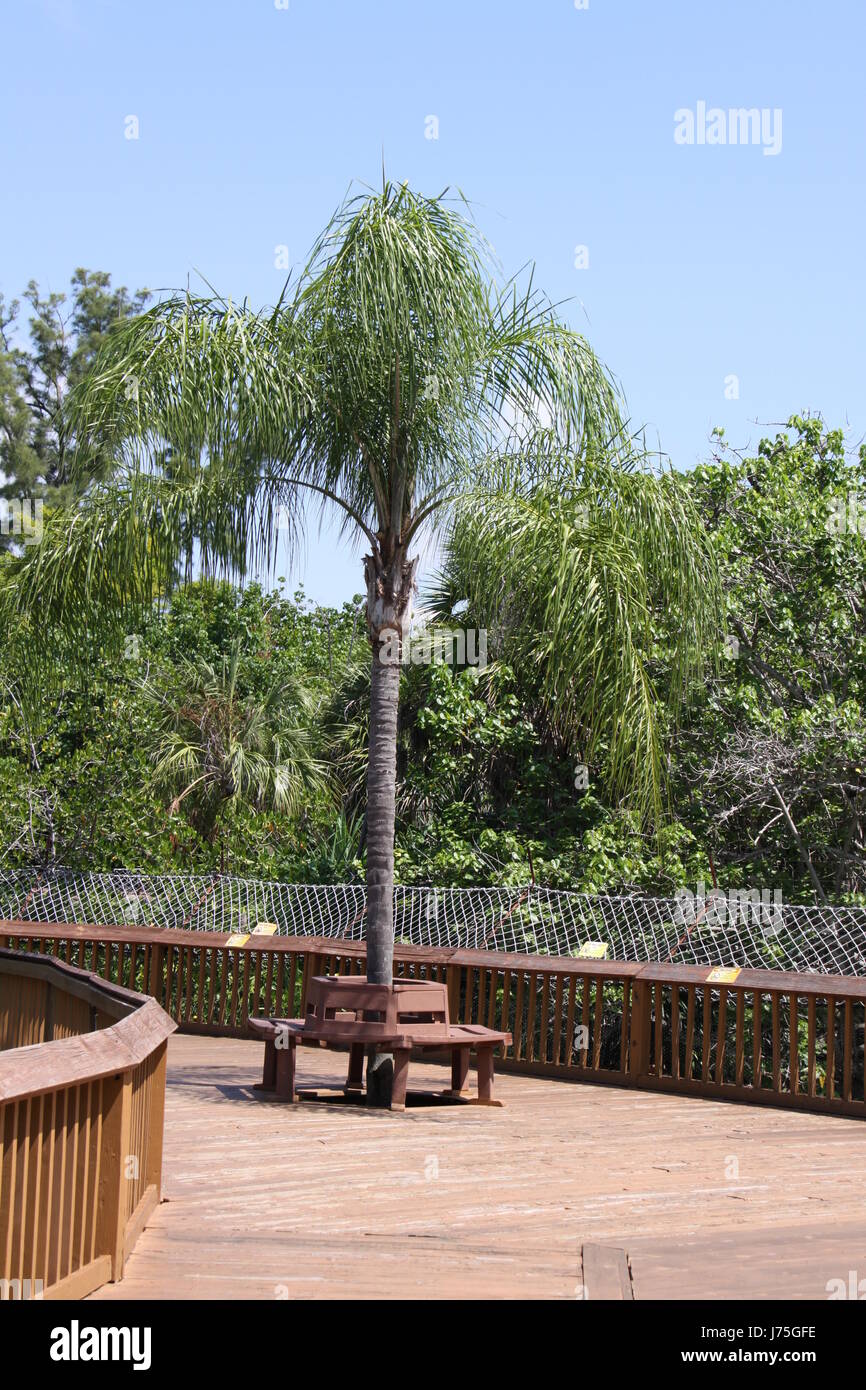 beautiful park in miami Stock Photo - Alamy