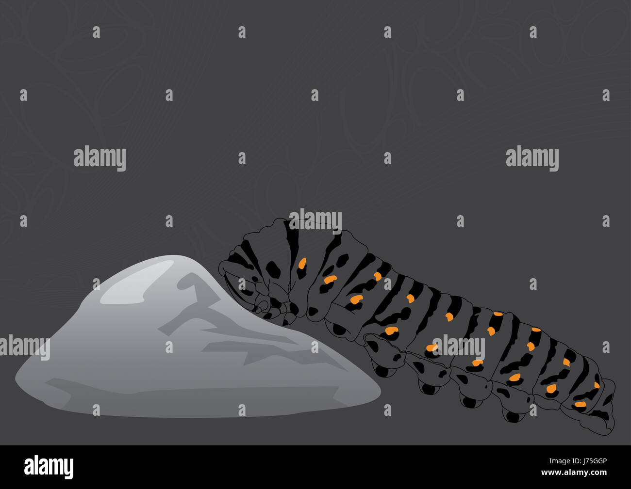 insect illustration caterpillar backdrop background close leaf macro ...