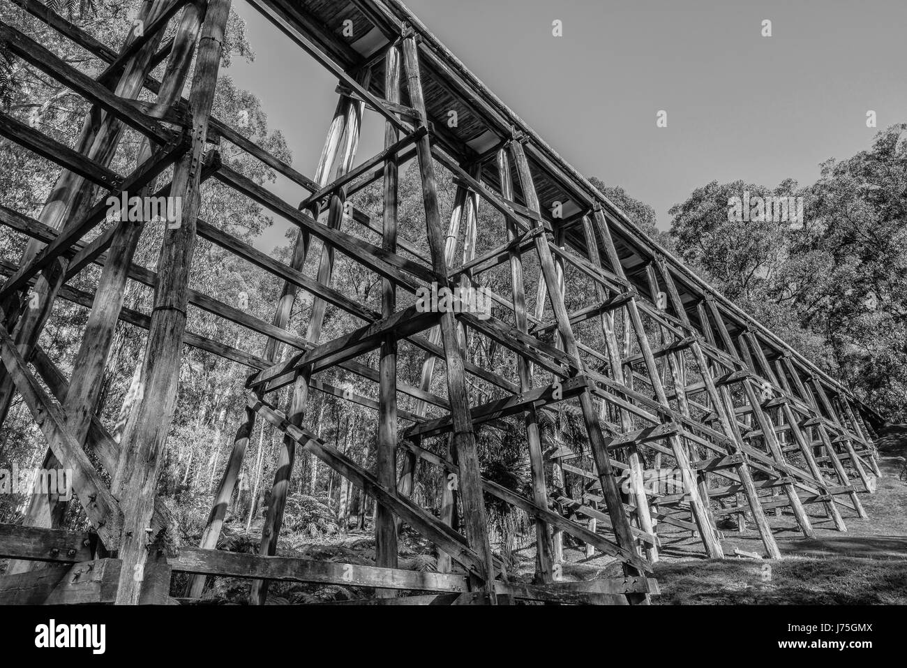 A desolate-looking bridge stands tall in the silent clearing. Black and ...