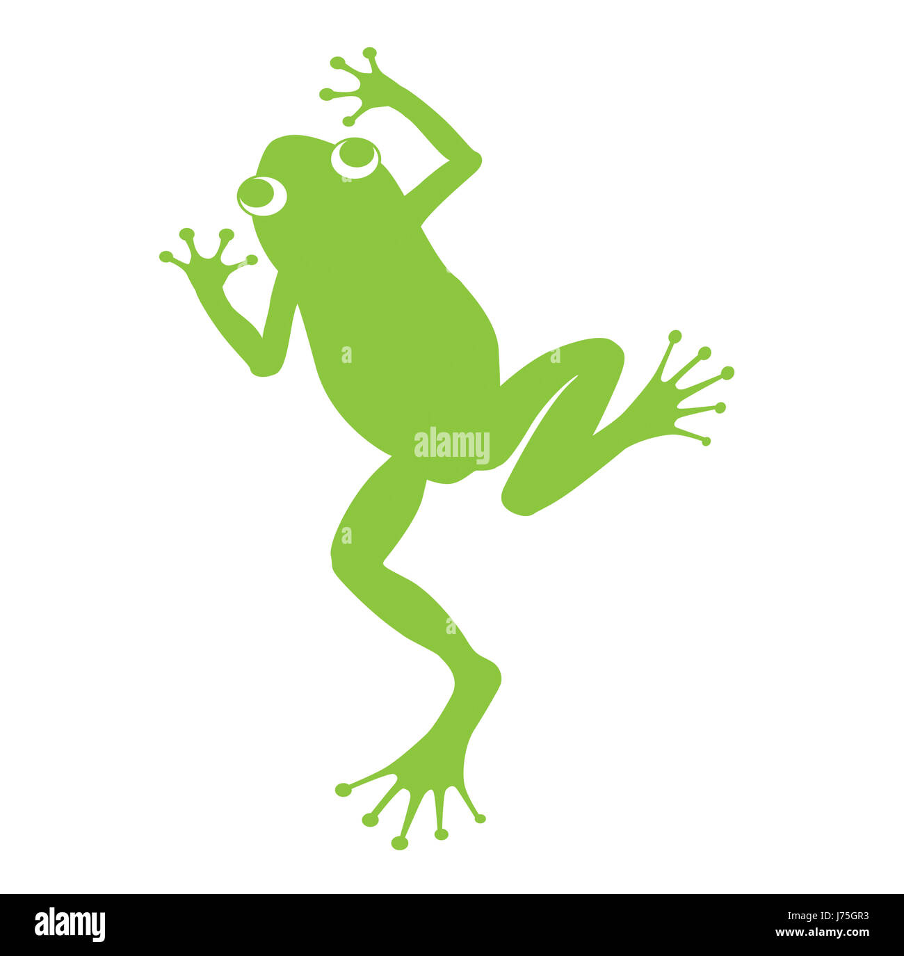 animal illustration frog lawn green object detail isolated model design ...