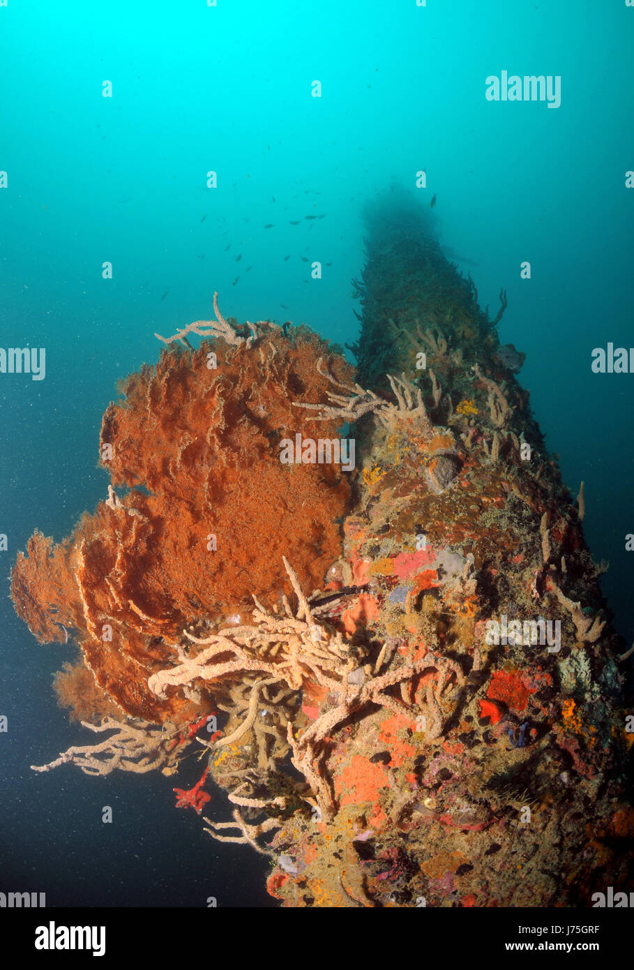 In to deep hi-res stock photography and images - Alamy