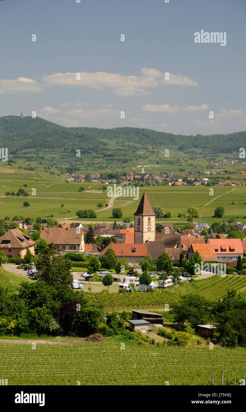 church vineyard place community village market town vine grape vine ...