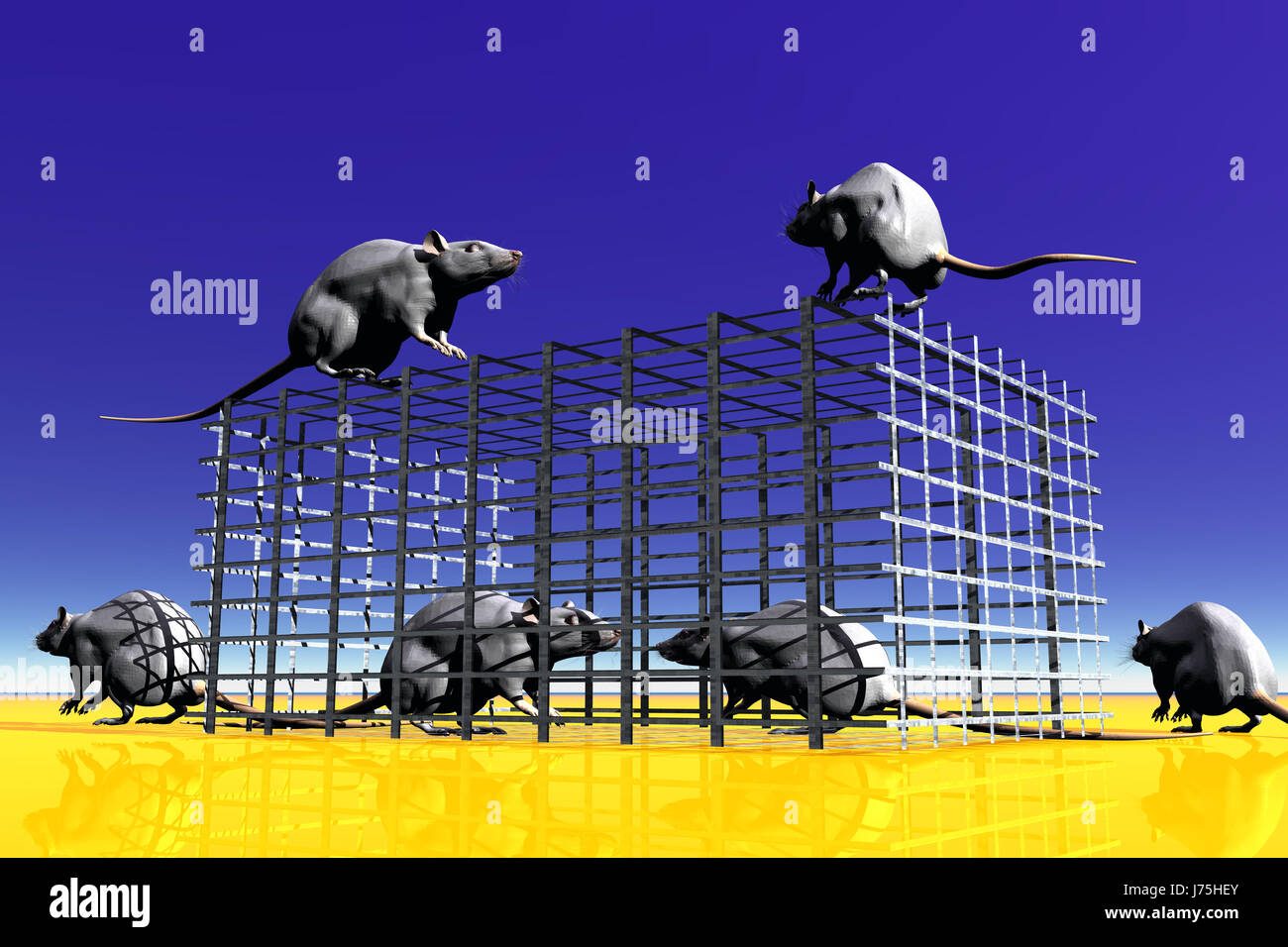 plague mouse cage mice rat rats symbolic graphic plague physiques mouse ...