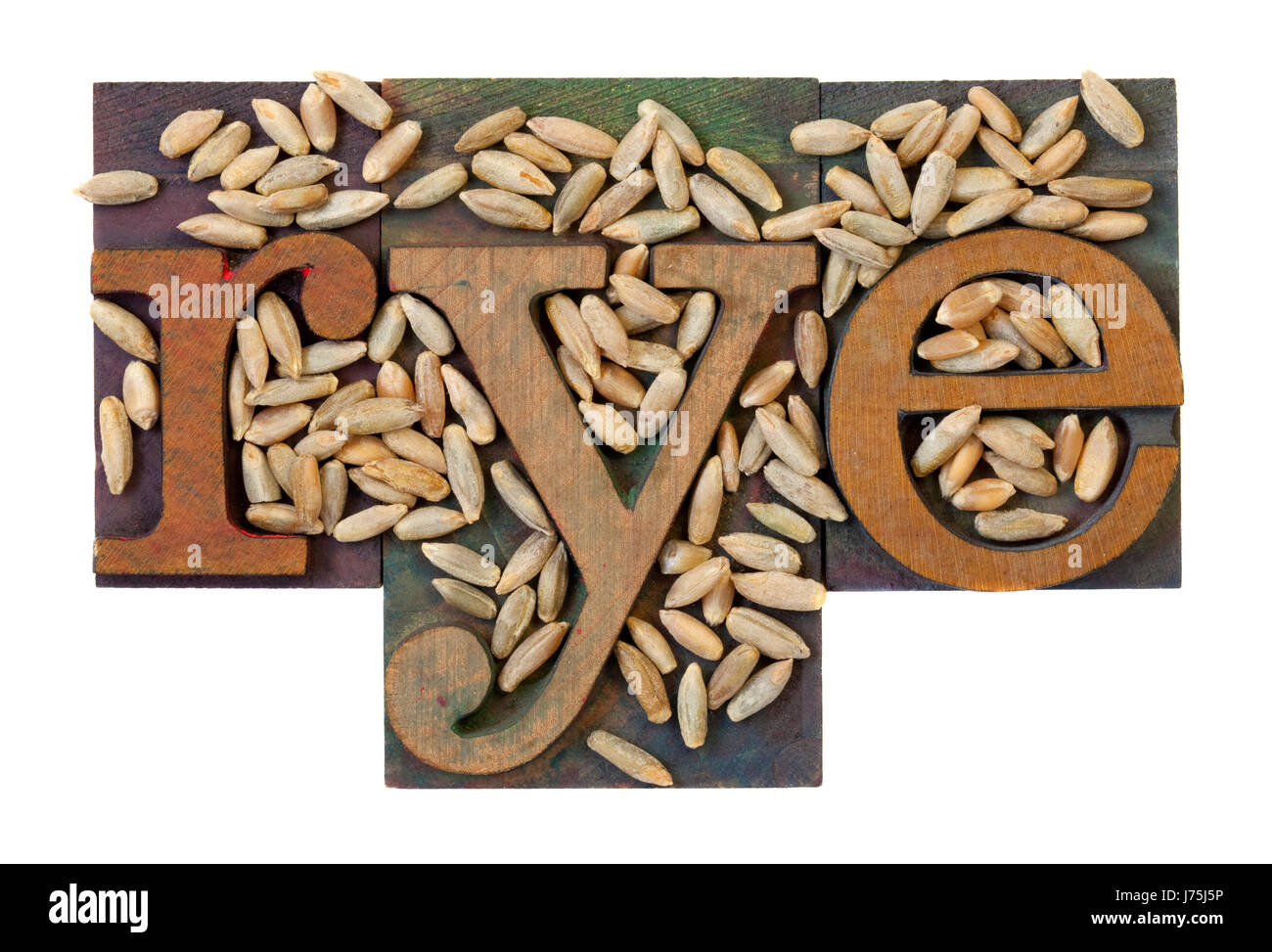 grain word letterpress rye text cereal type model build colour wood ...