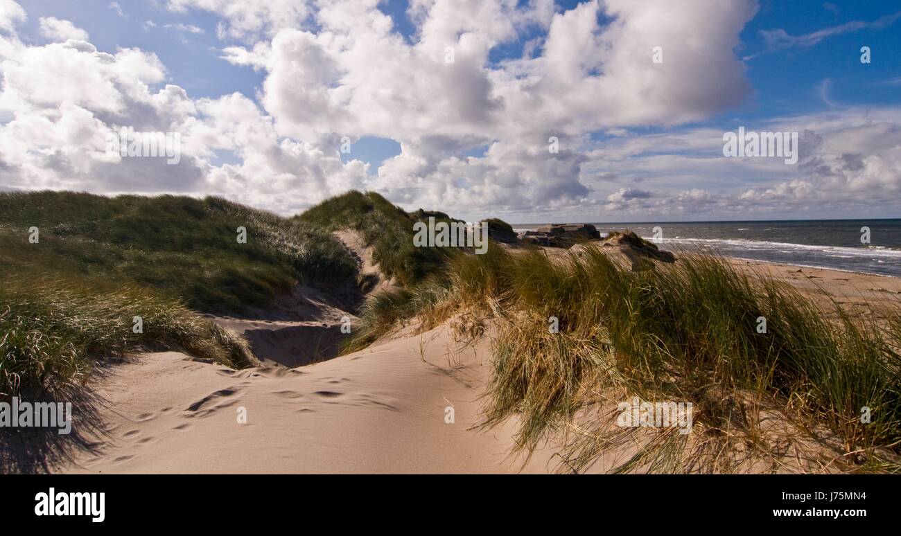 beach seaside the beach seashore denmark north holiday vacation ...