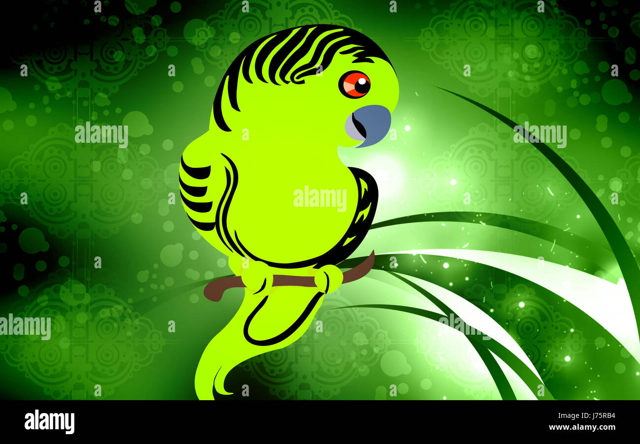 animal bird parrot talk speaking speaks spoken speak talking chat ...