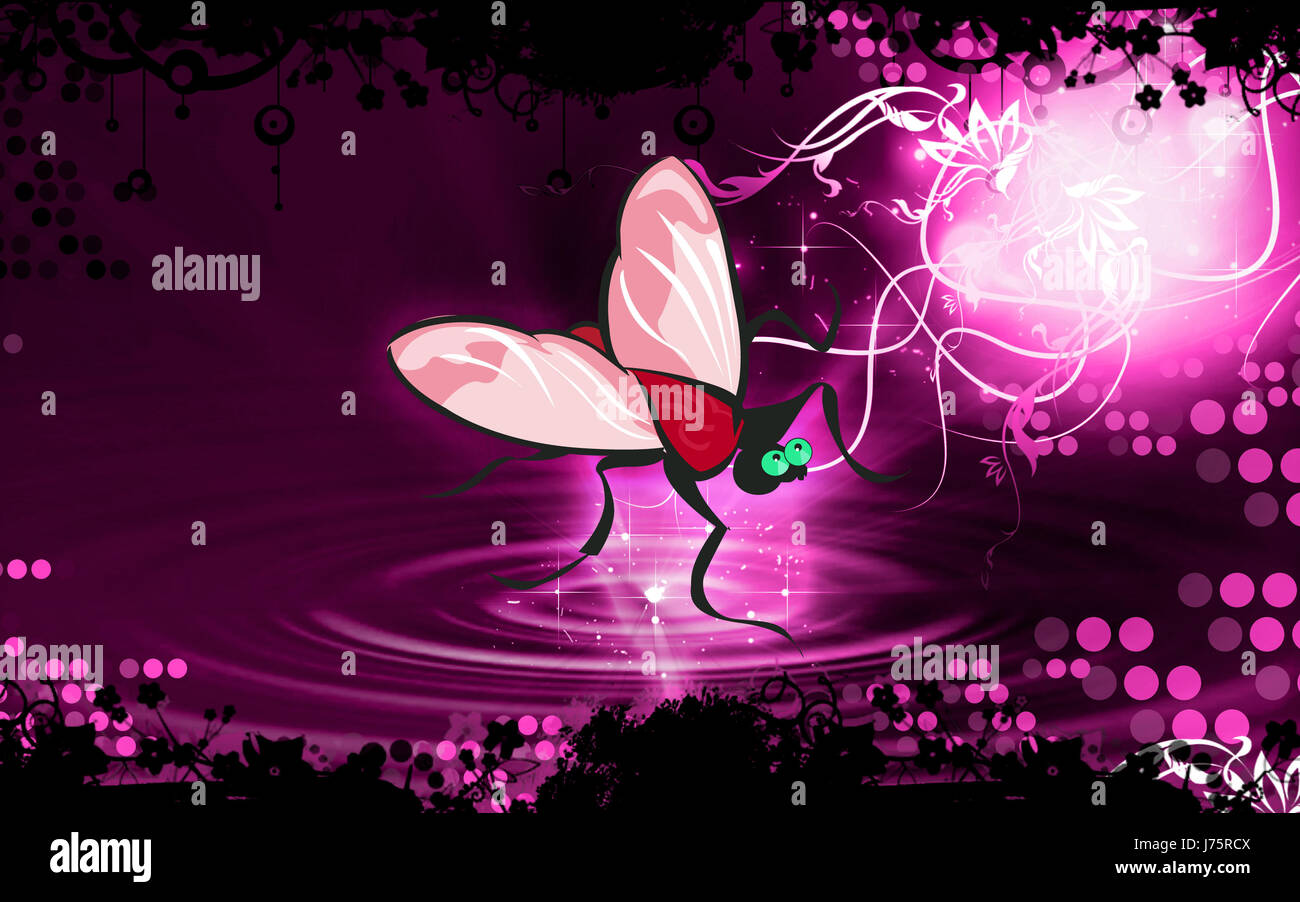 insect antenna fly flies flys flying bee sweet wing soldier wasp busy ...