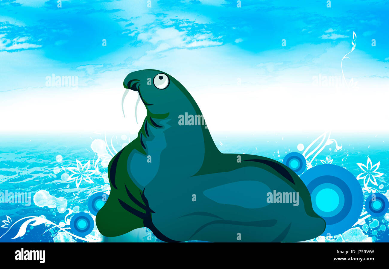 animal mammal seal salt water sea ocean water laugh laughs laughing ...