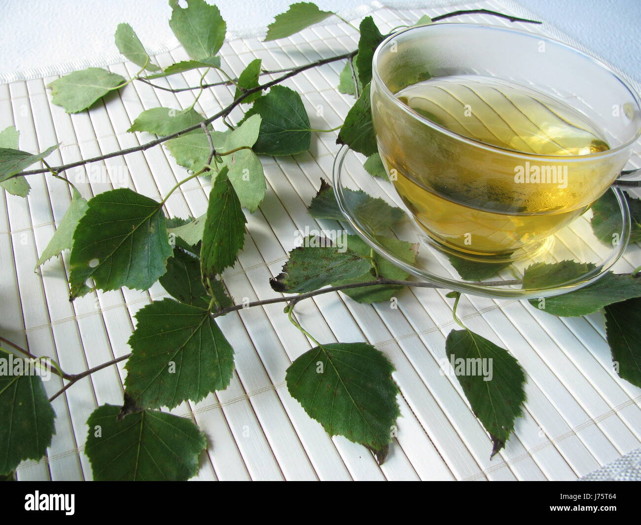 birch tea treatment birch leaves tealeaves blood-purifying diuretic ...