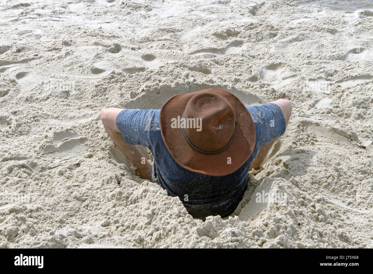 Digging hole buried hi-res stock photography and images - Alamy