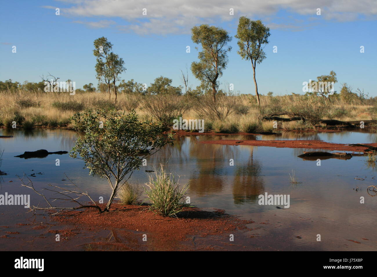 australia outback rainy season scenery countryside nature water ...