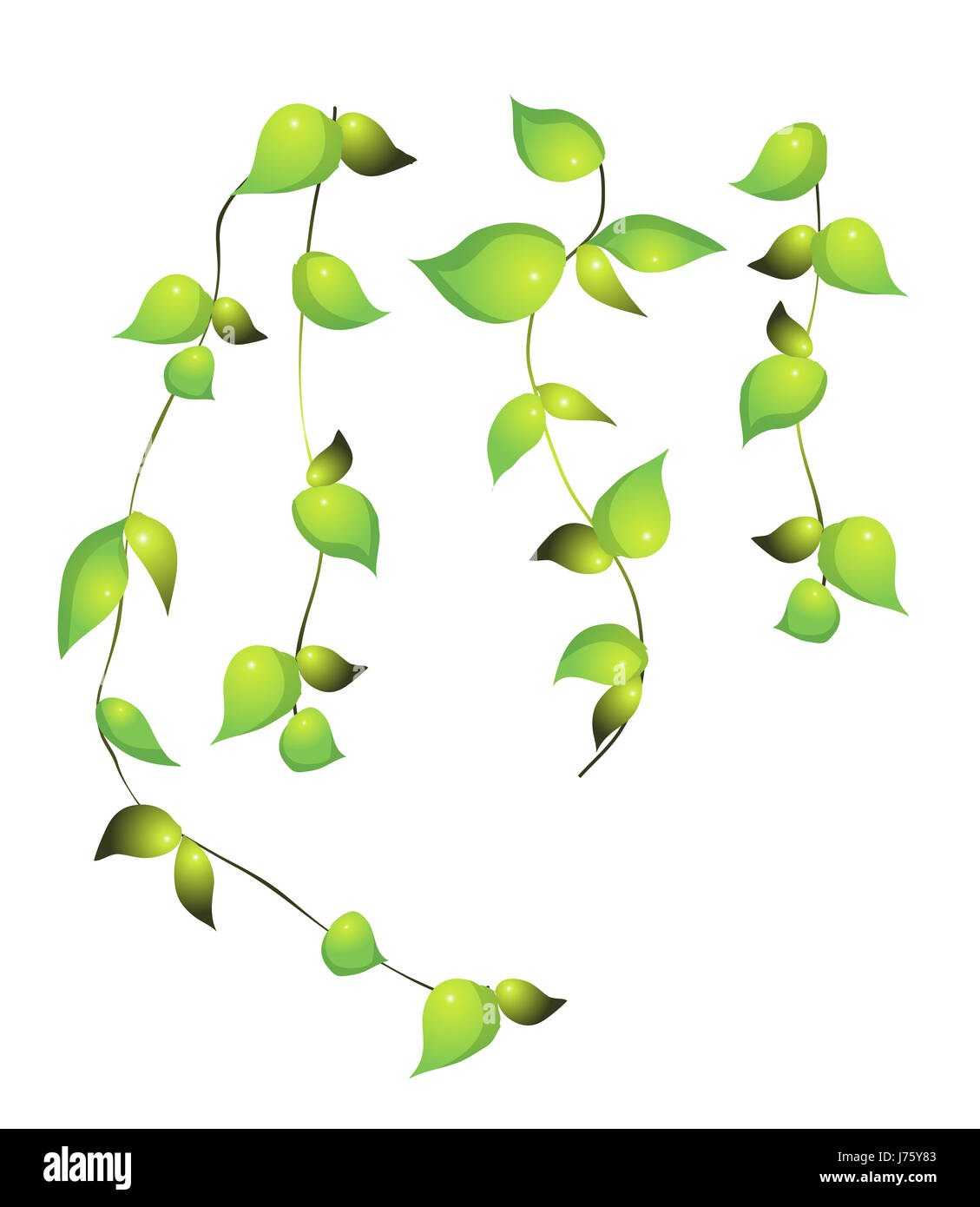 leaves vines spring bouncing bounces hop skipping frisks jumping jump ...