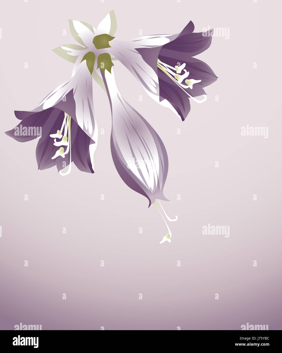 flower plant purple leaf health art model design project concept plan ...