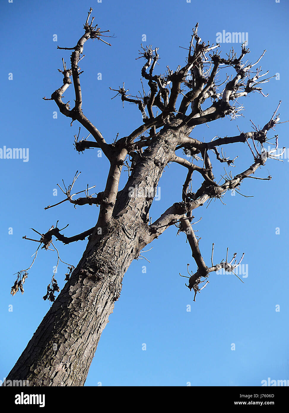 Angled shape hi-res stock photography and images - Alamy