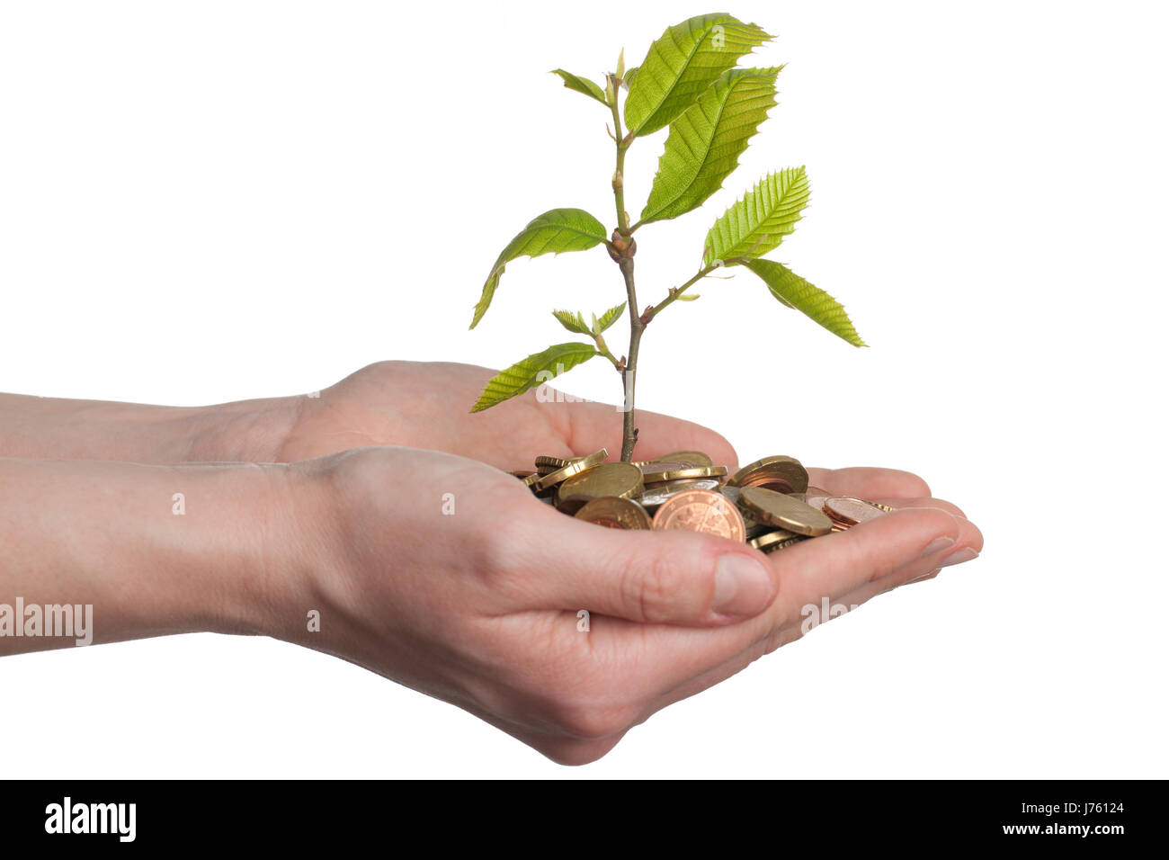 money investment growth credit interest money finances plant bank ...