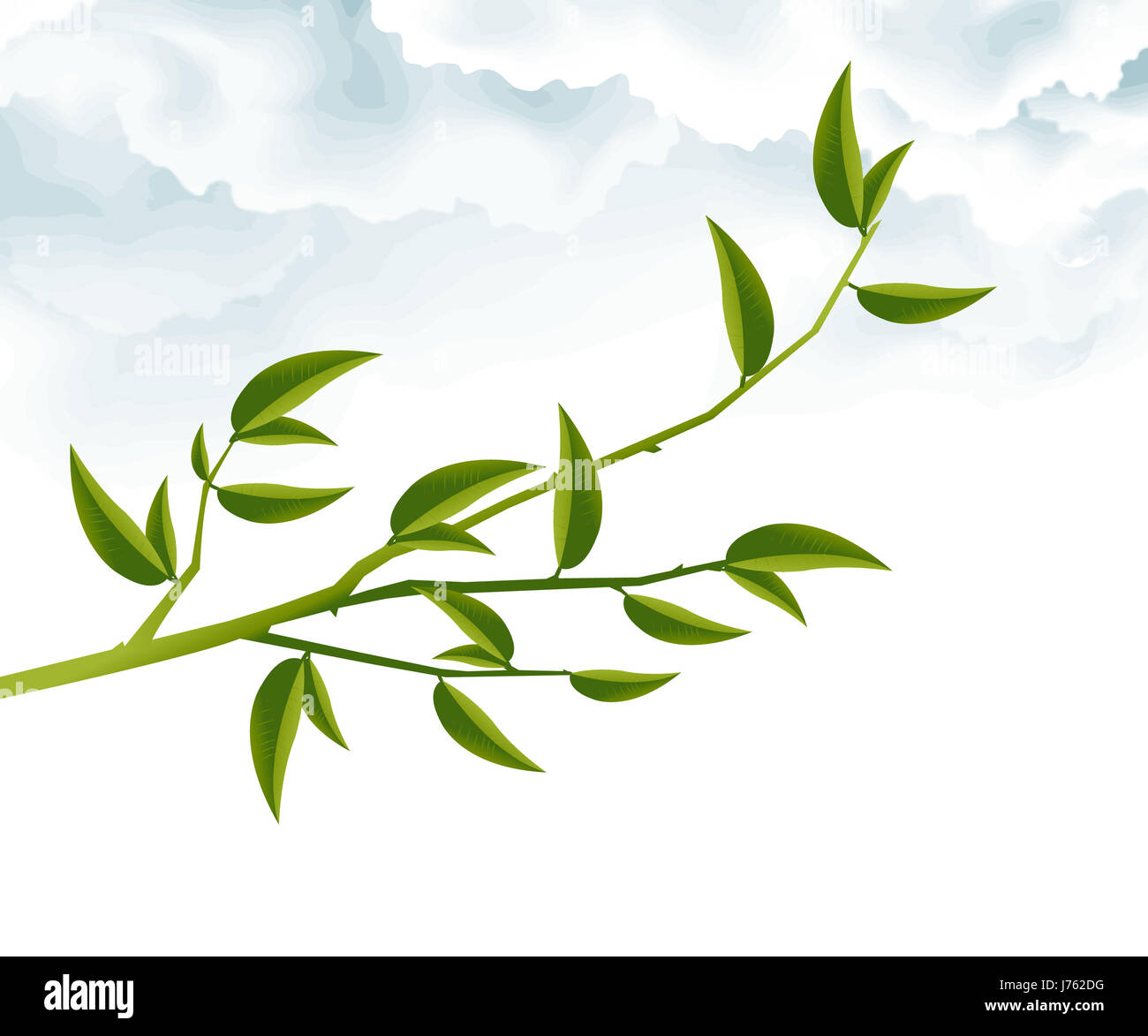colour botany branch abstract color backdrop background bright ...