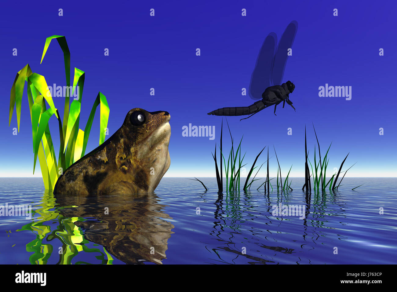 Catches frogs hi-res stock photography and images - Alamy